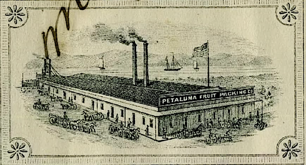 Ripe for the Taking: Petaluma's Fruit Canning Days - Petaluma Historian
